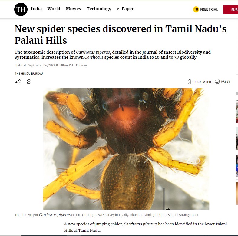New spider species discovered in Tamil Nadu’s Palani Hills | nbair