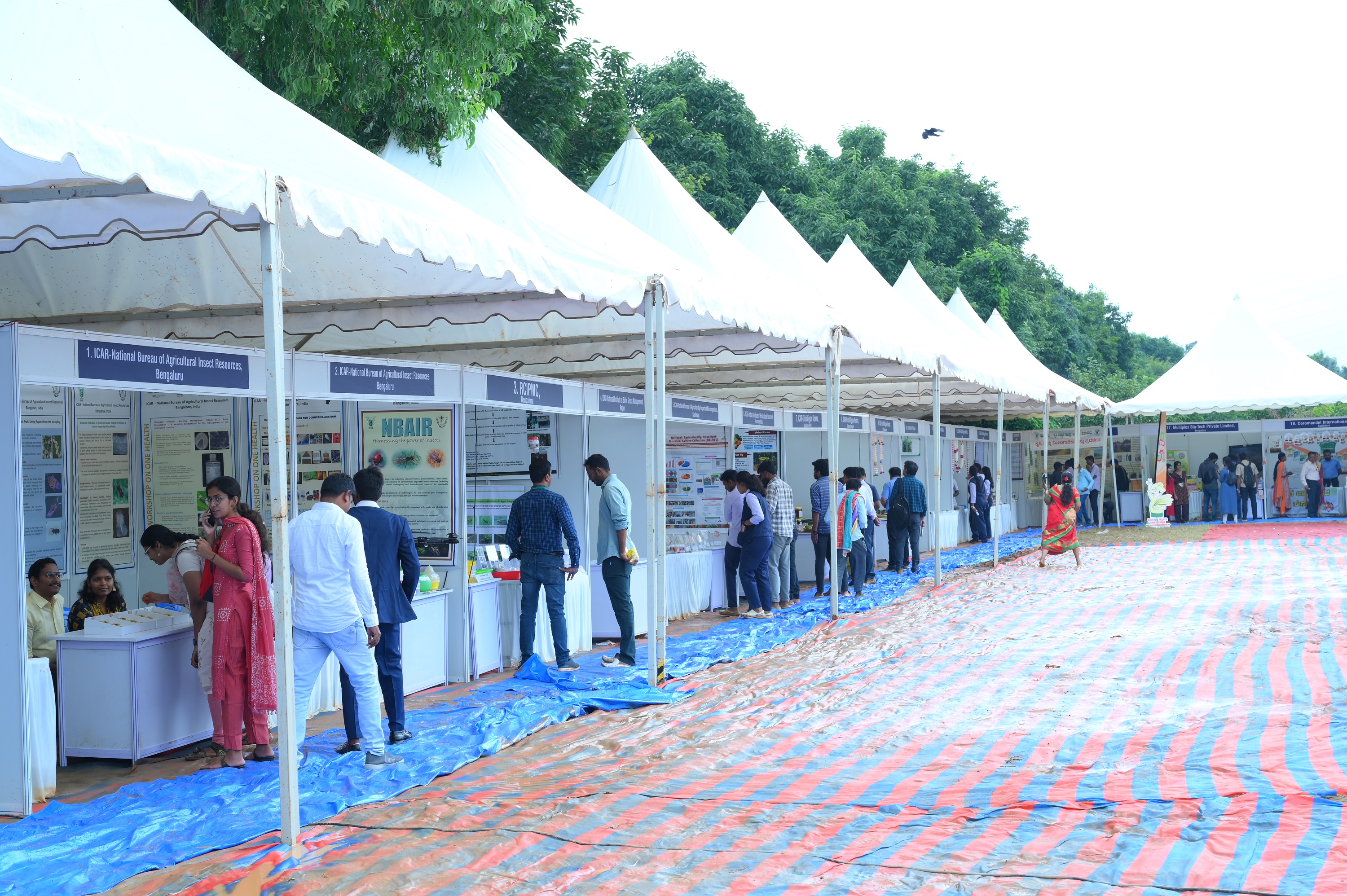 Photo Gallery | nbair